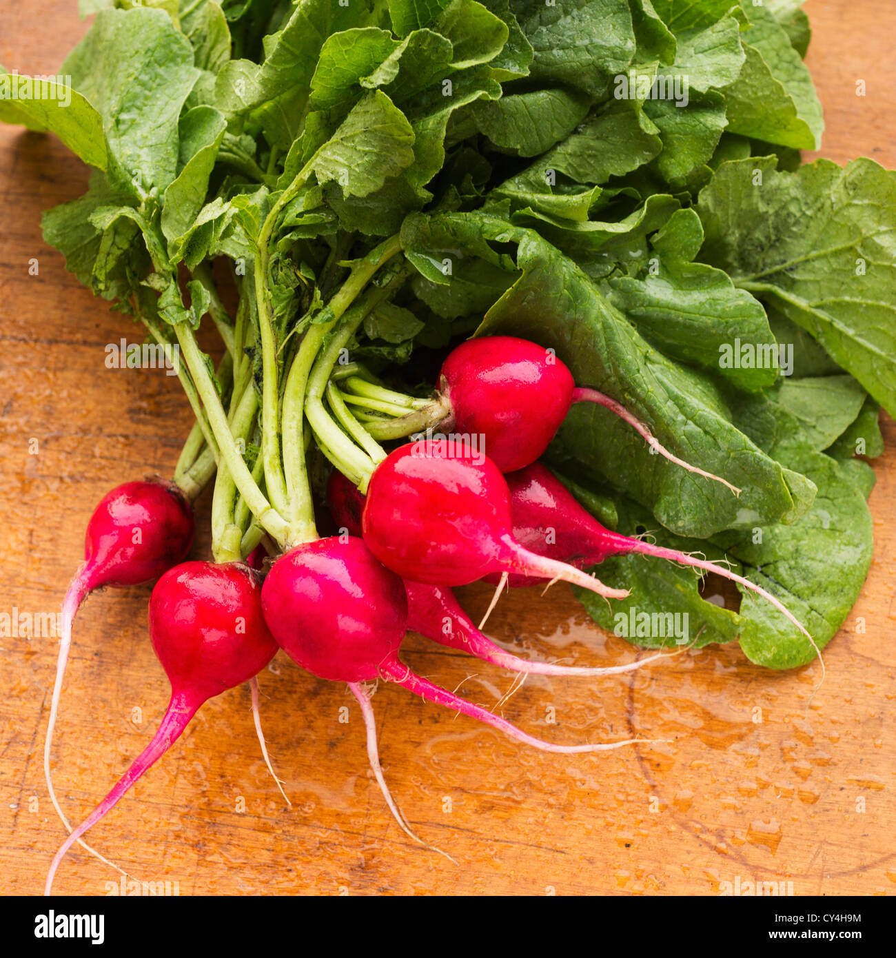 Radish on wood pattern, studio shot Stock Photo - Alamy