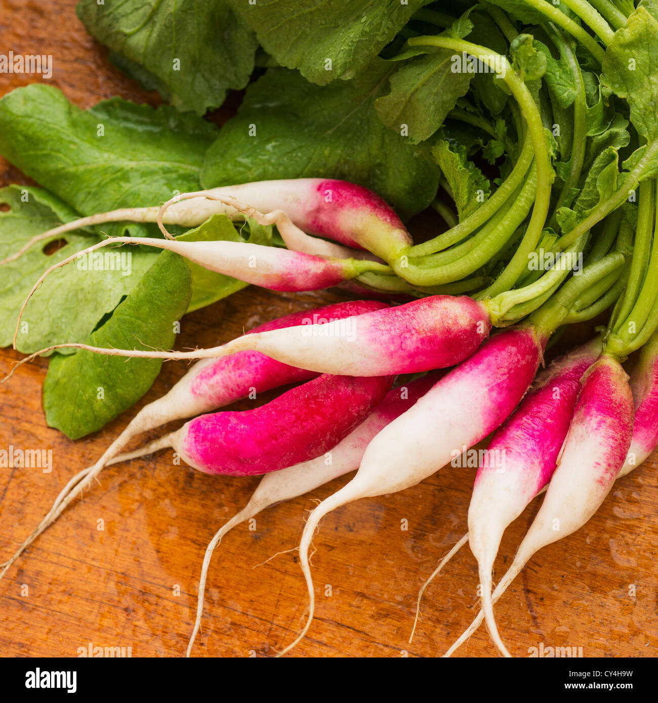 French produce radish hi-res stock photography and images - Alamy