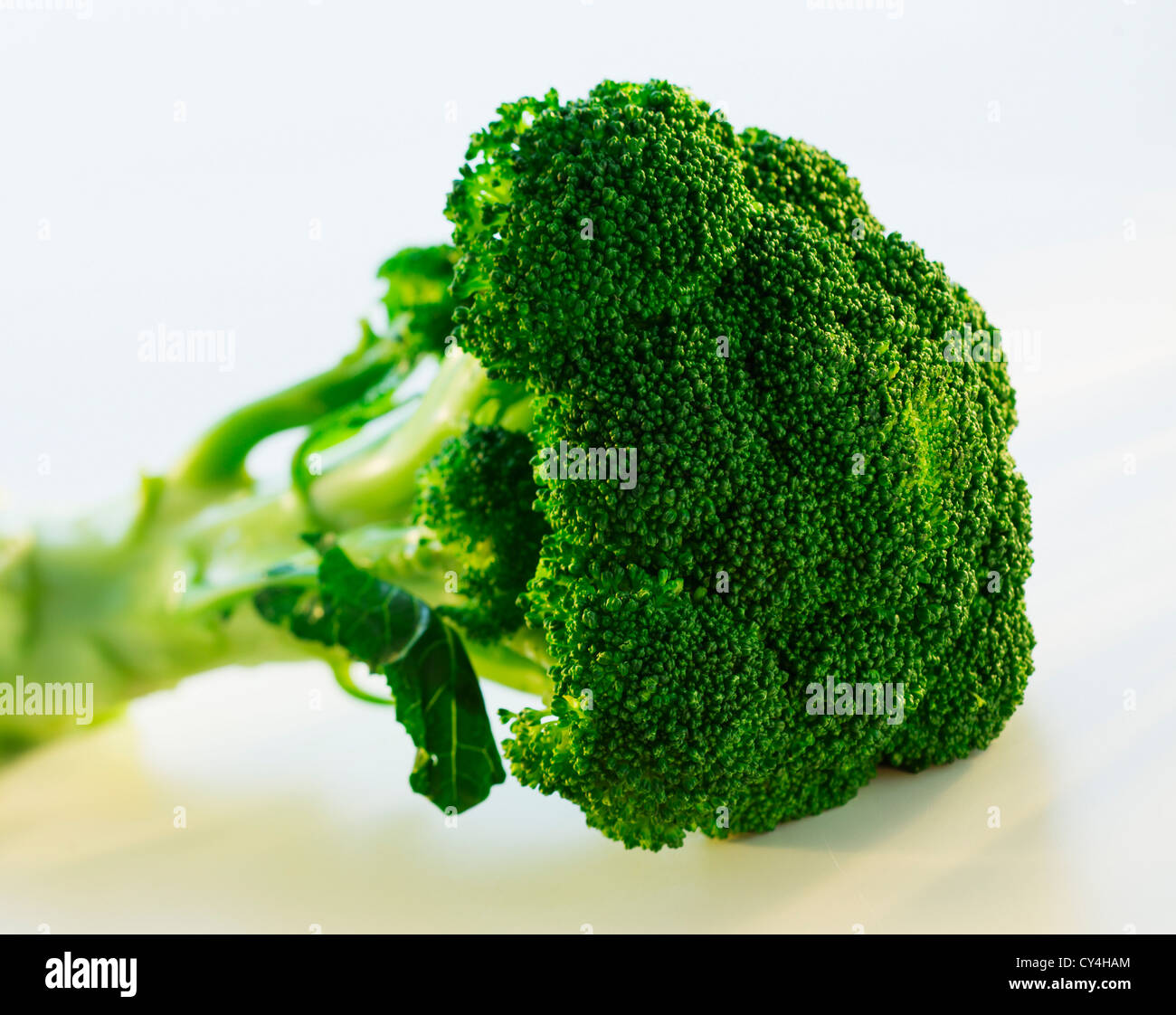 Broccoli on white background, studio shot Stock Photo - Alamy