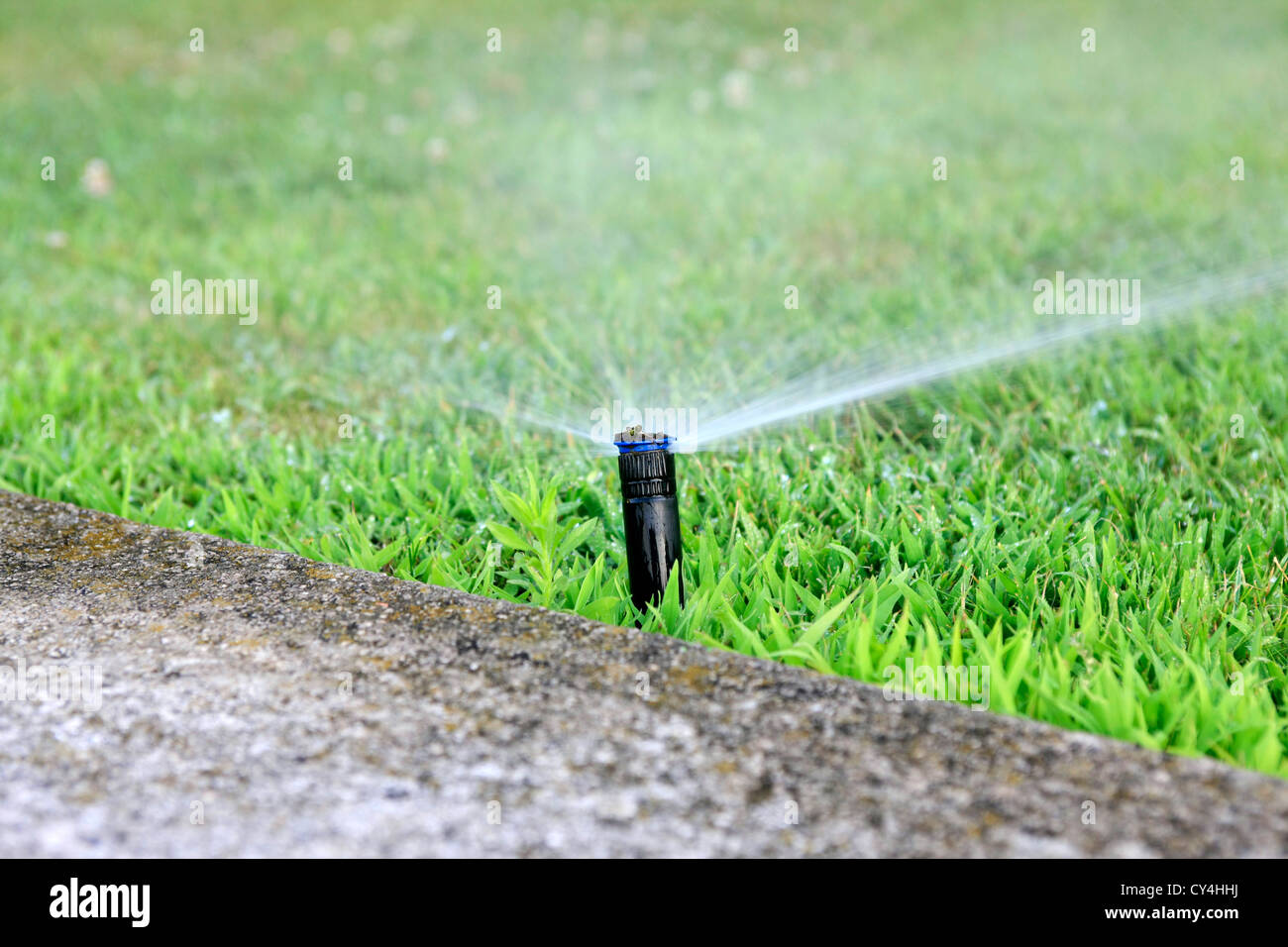Drench irrigation hi-res stock photography and images - Alamy