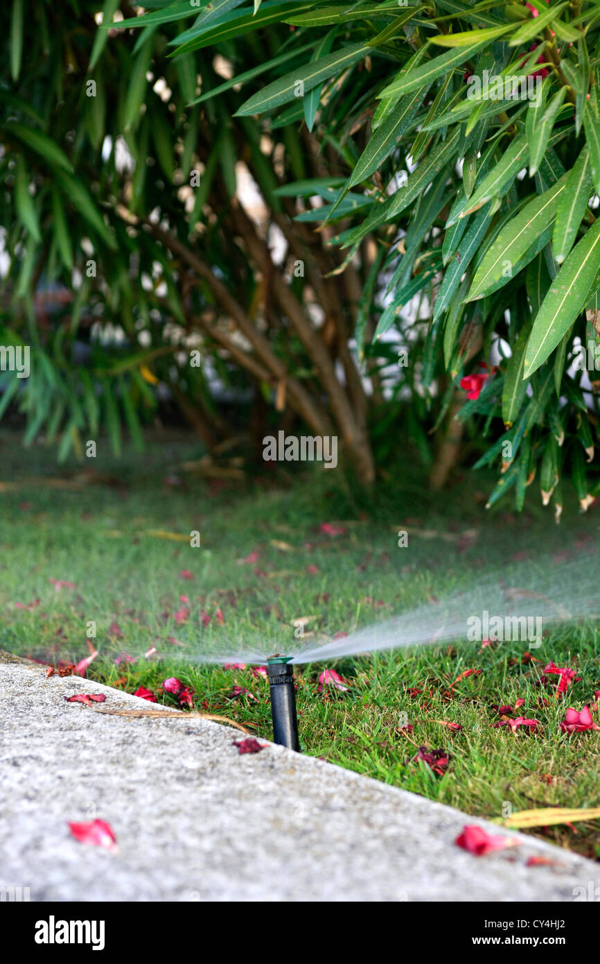 90 degree arc fine spray water sprinkler Stock Photo - Alamy
