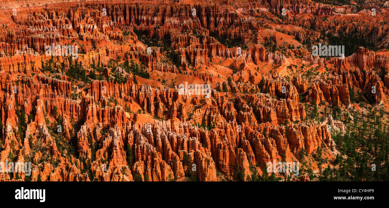USA, Utah, Bryce Canyon Stock Photo - Alamy