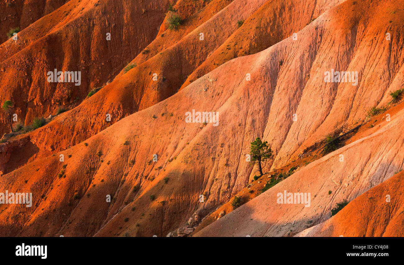 Bryce amphitheater rock formation hi-res stock photography and images ...