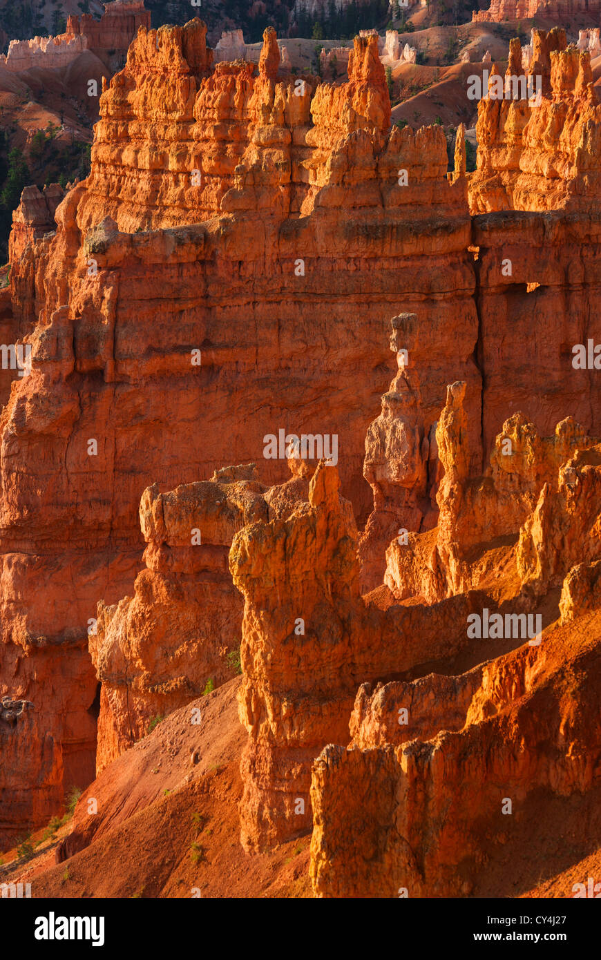 USA, Utah, Bryce Canyon, Bryce Amphitheater Stock Photo - Alamy