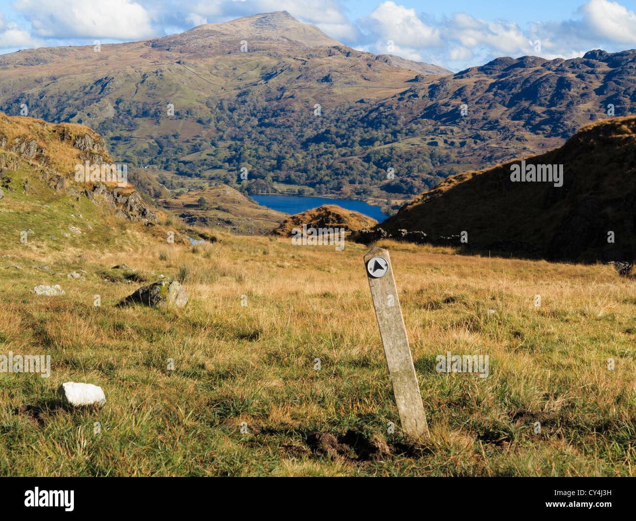 Hafod in wales hi-res stock photography and images - Alamy