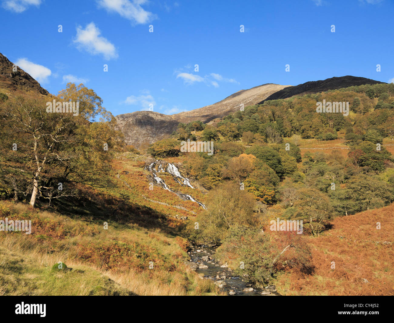 Afon y llan hi-res stock photography and images - Alamy