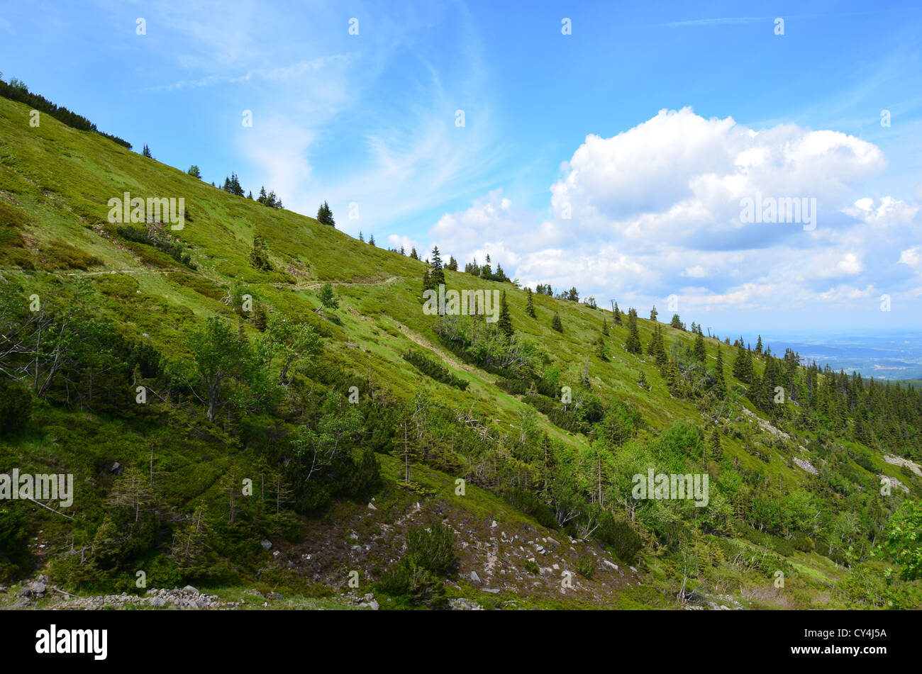 Hillside slope hi-res stock photography and images - Alamy