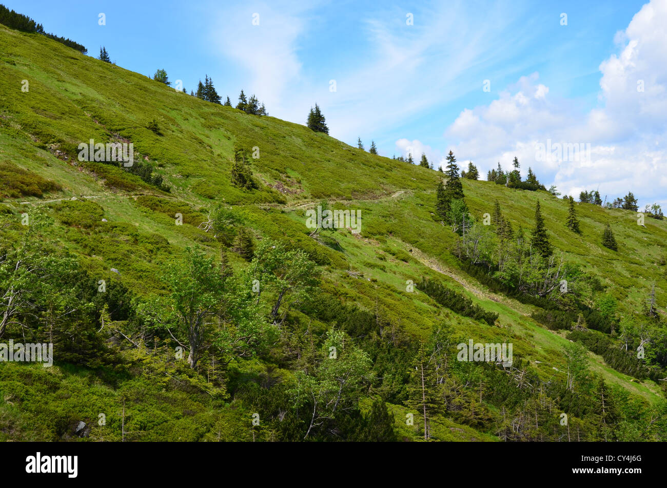 trail, slope, hillside, slant Stock Photo - Alamy