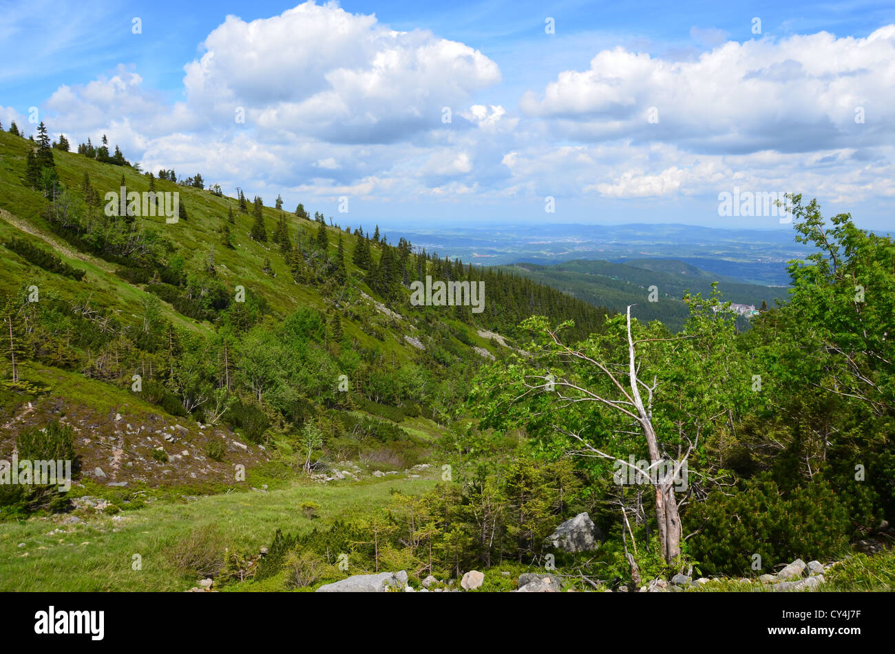 trail, slope, hillside, slant Stock Photo - Alamy