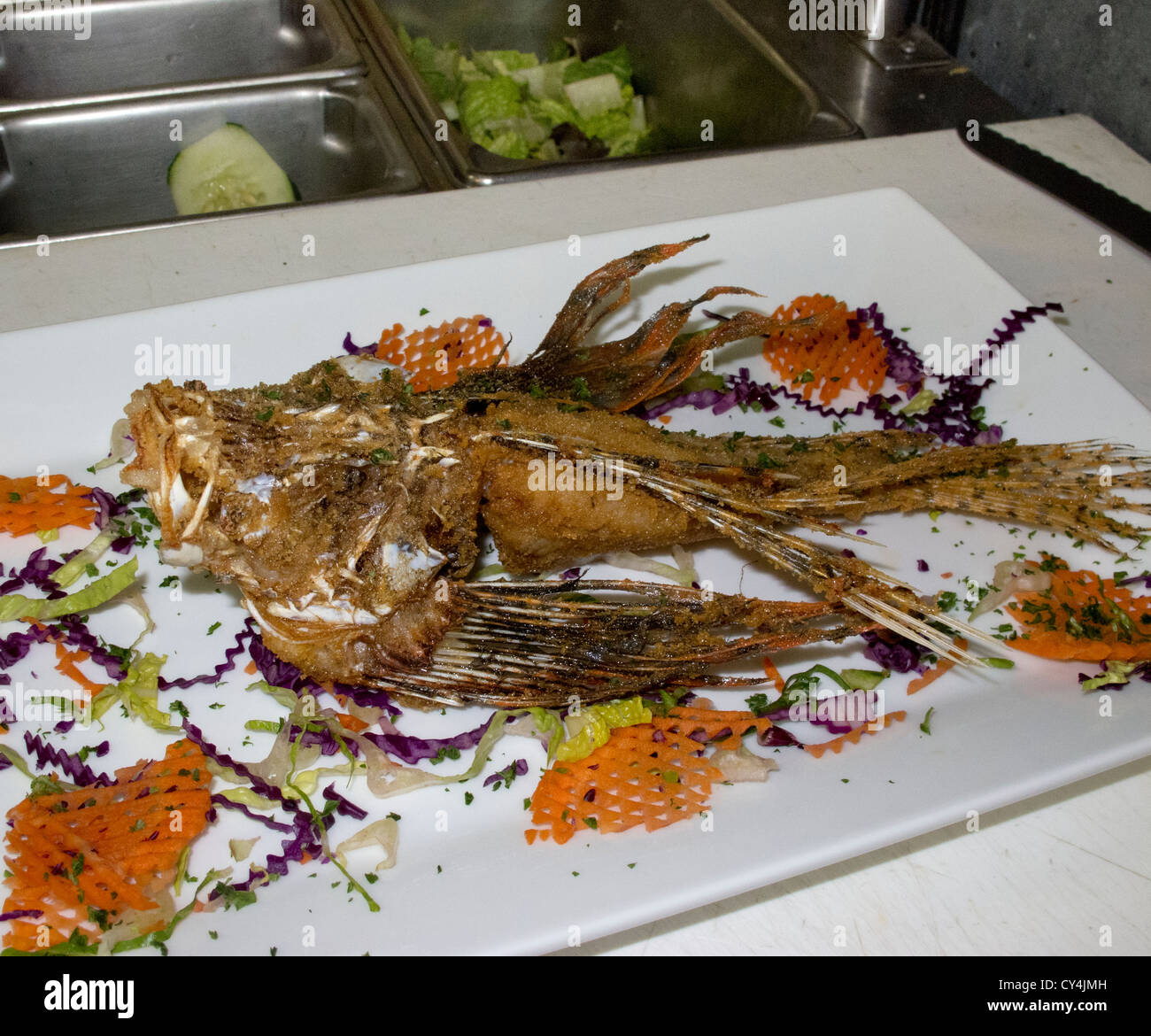 Invasive species dinner hi-res stock photography and images - Alamy