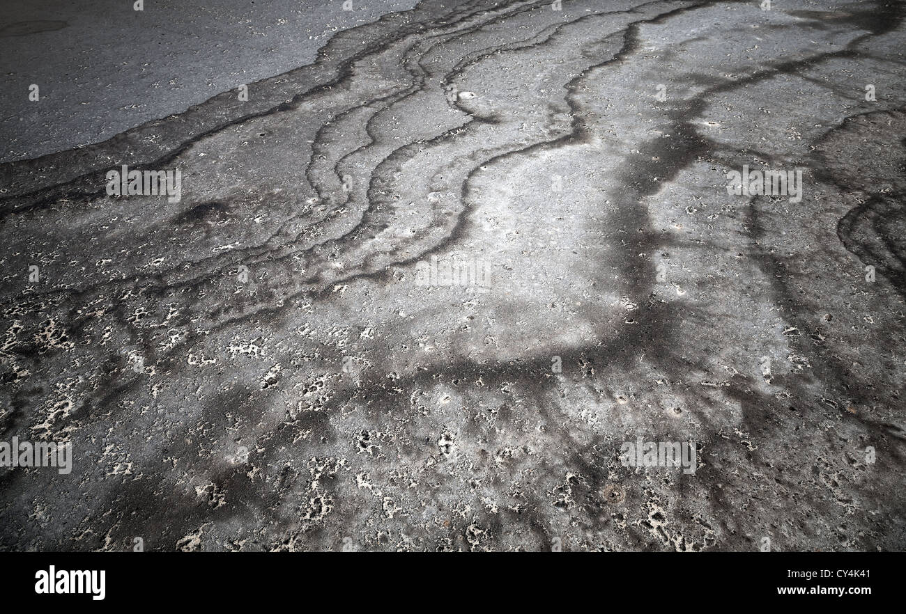 Dried puddle pattern on the pavement. Background photo texture Stock ...