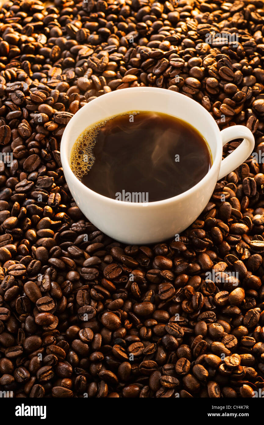 Hot coffee, studio shot Stock Photo - Alamy