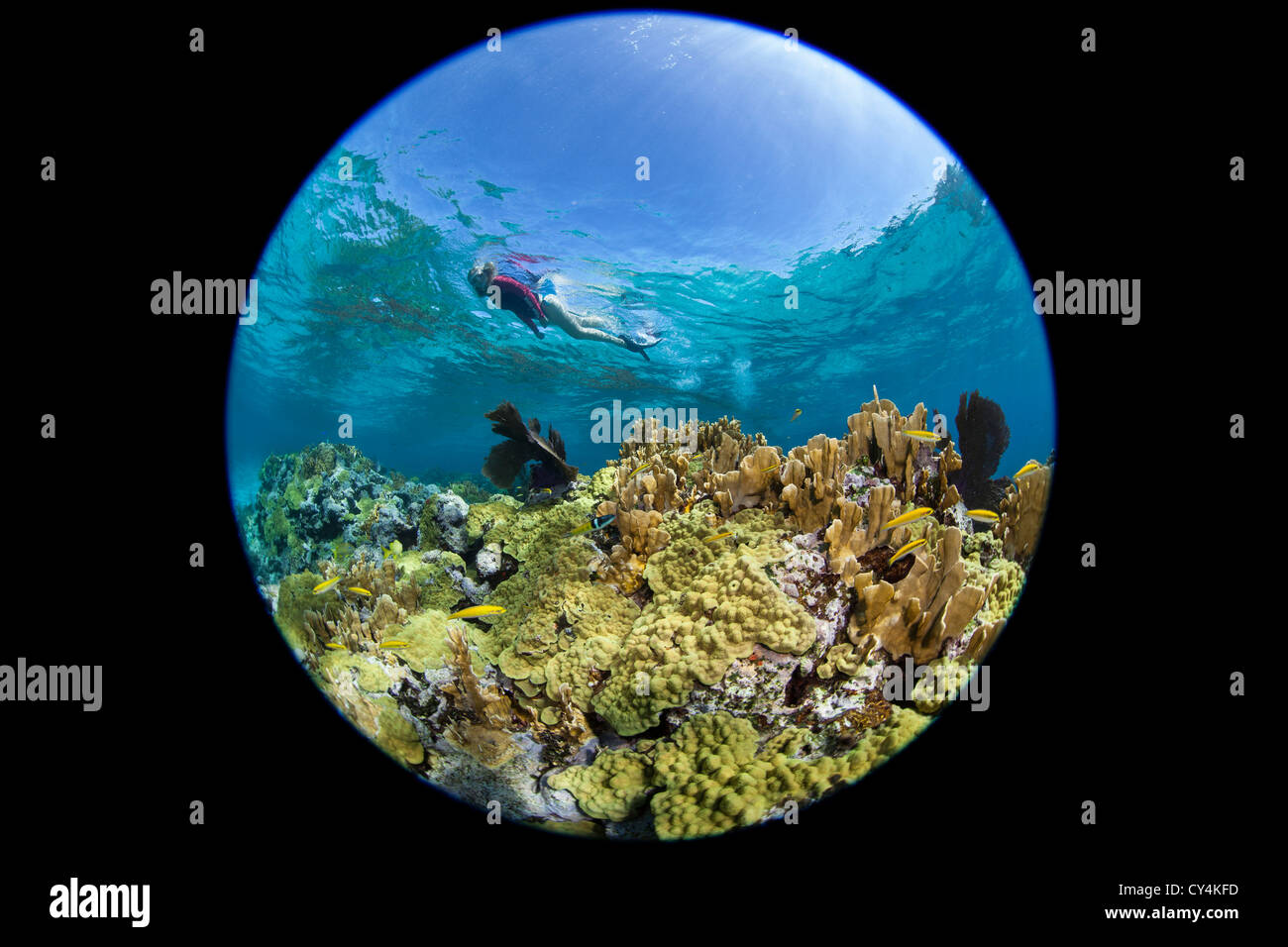 Fisheye view people hi-res stock photography and images - Alamy
