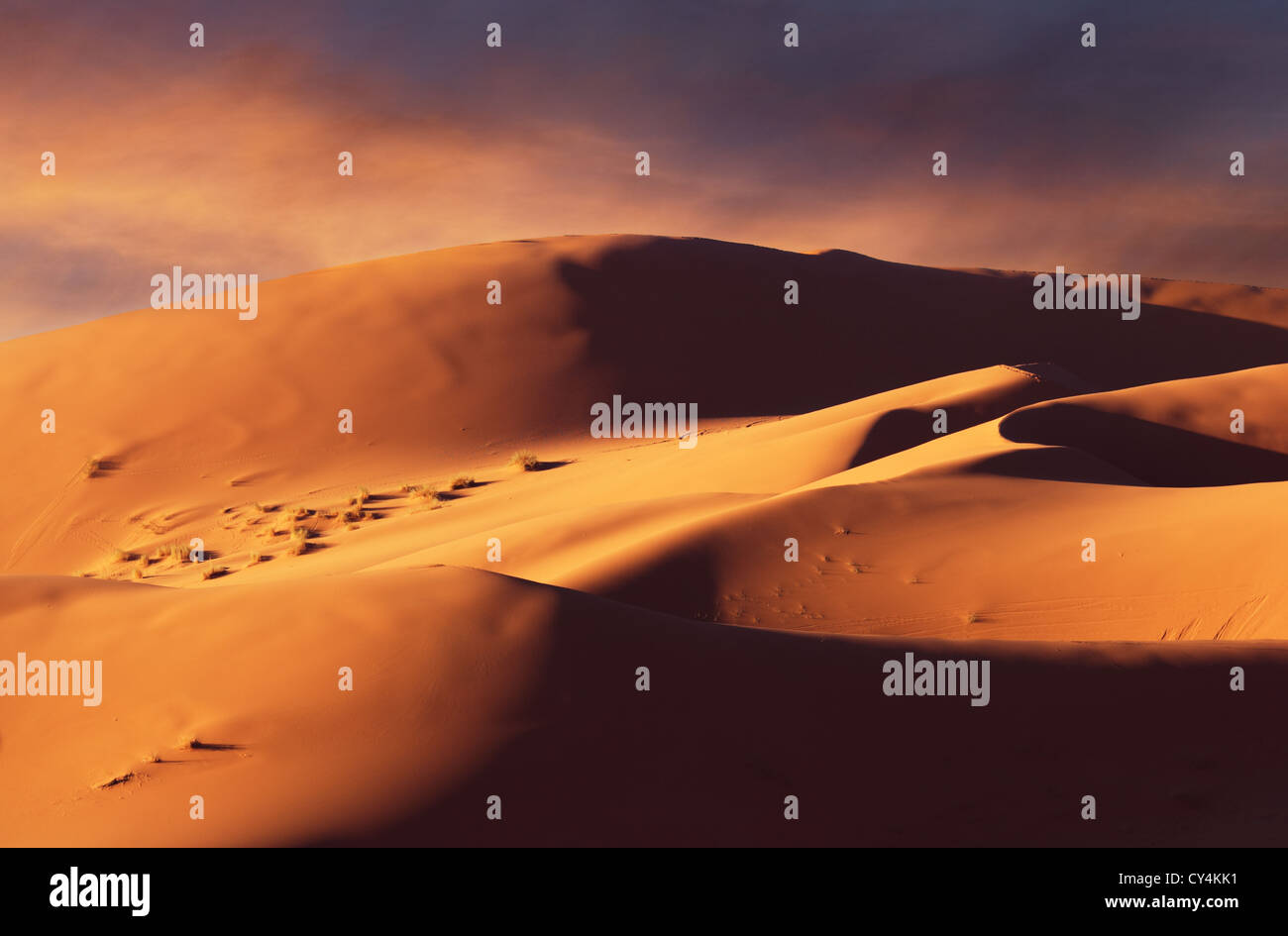 Sahara desert in morocco hi-res stock photography and images - Alamy