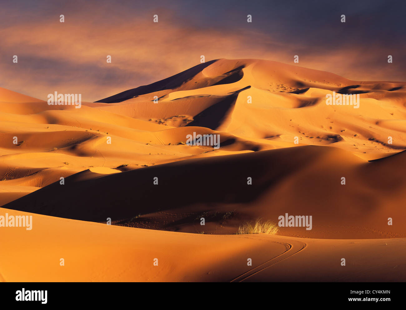 Sahara desert in morocco hi-res stock photography and images - Alamy
