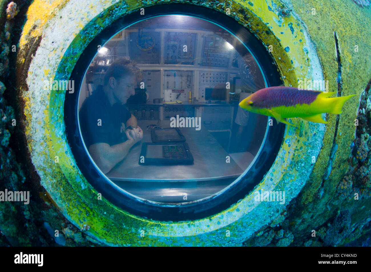 Aquarius underwater florida hi-res stock photography and images - Alamy