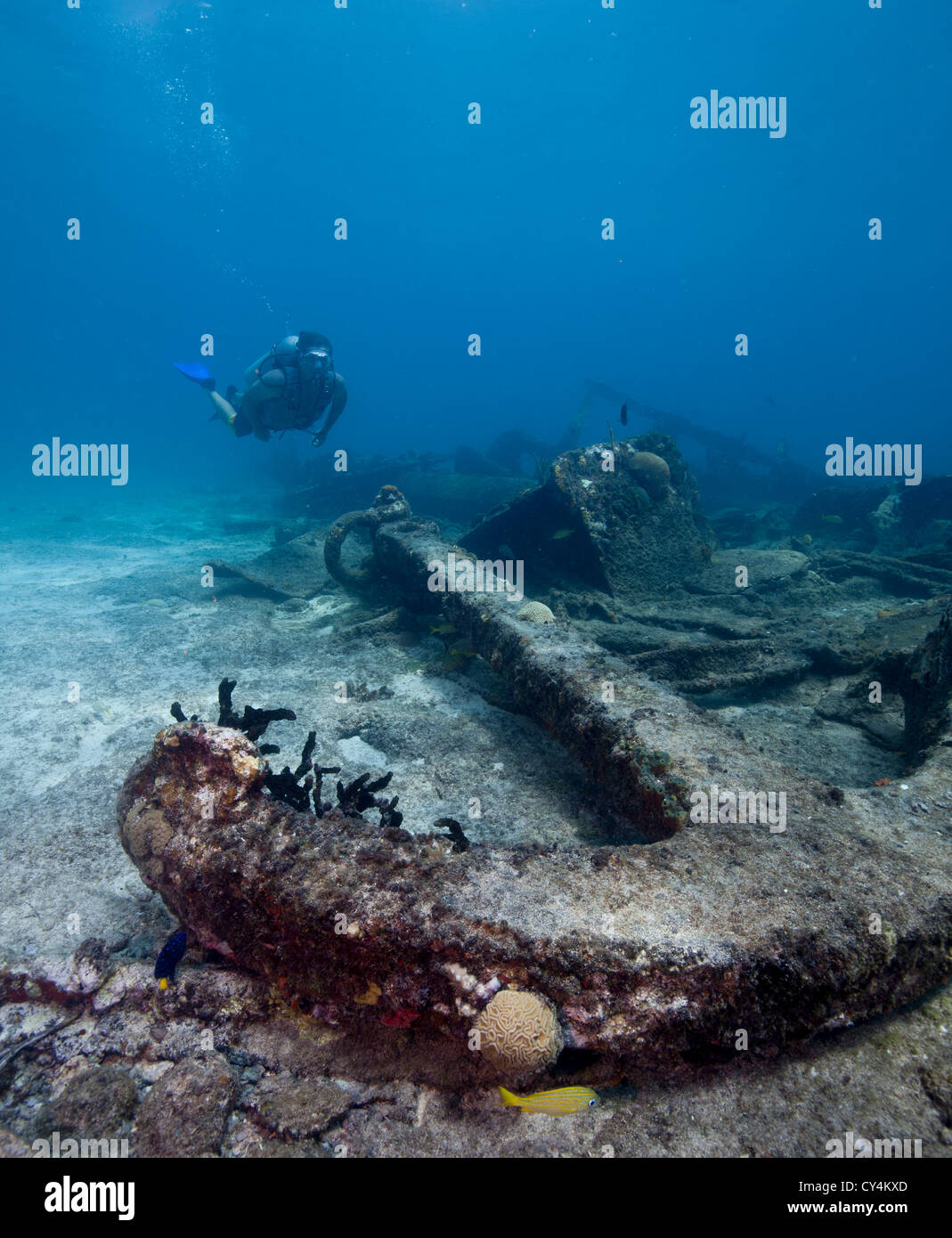 Large anchor from the Sugar wreck, West End, Bahamas Stock Photo - Alamy
