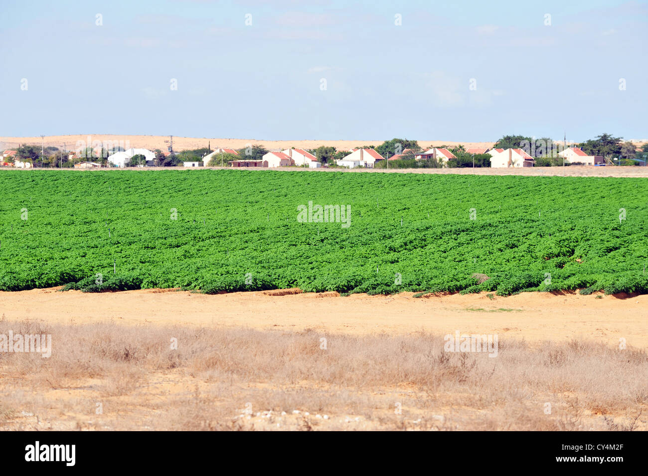 Israeli Kibbutz Farm Stock Photos & Israeli Kibbutz Farm Stock Images ...