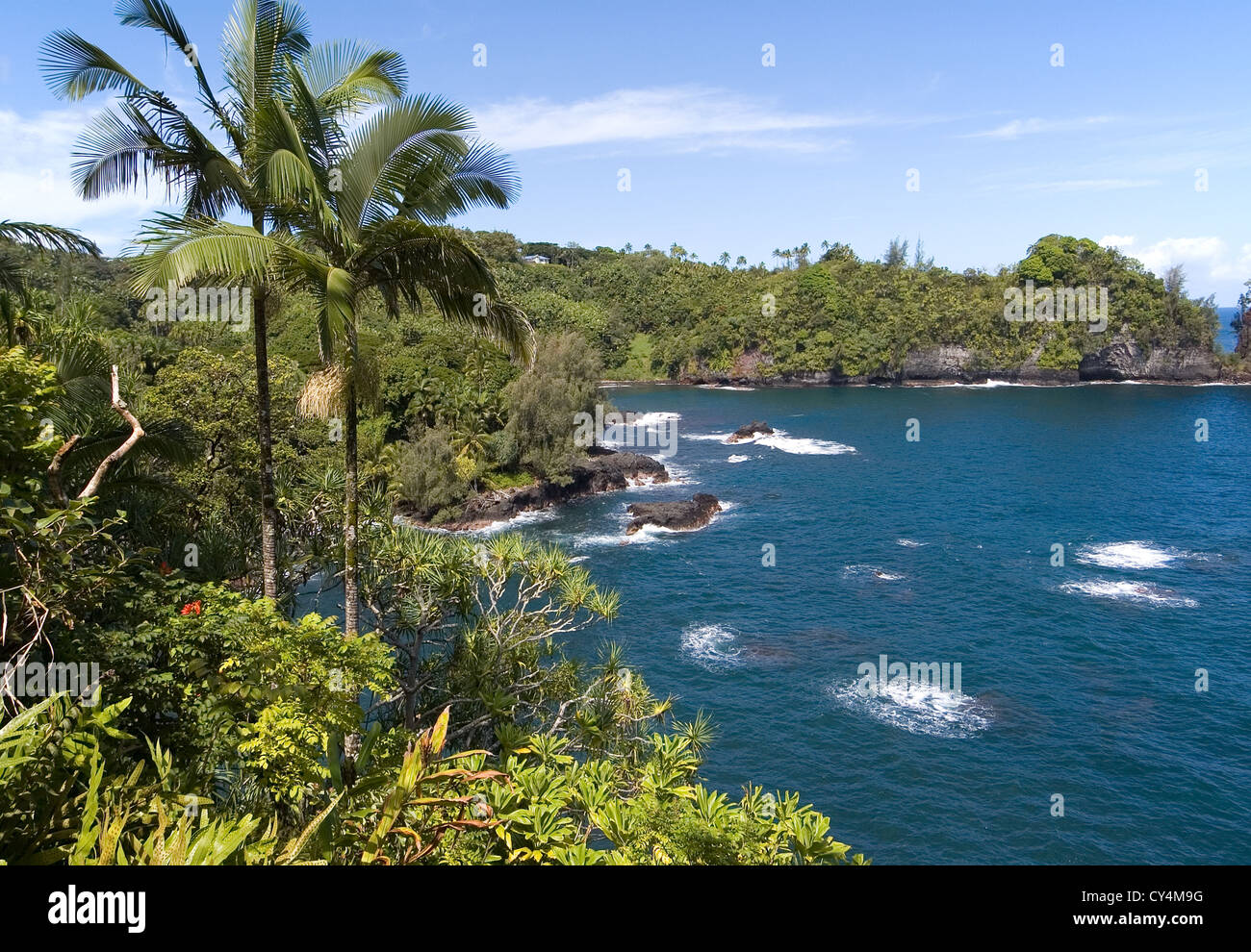 Elk284 2764 hawaii hi-res stock photography and images - Alamy