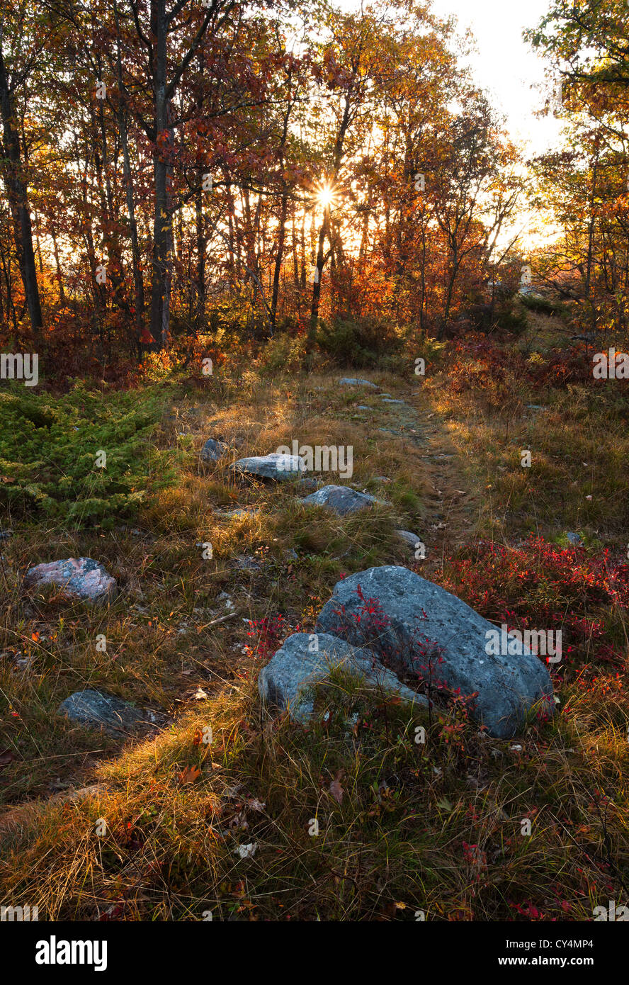 Trail and fall colours, Muskoka, Ontario, Canada Stock Photo - Alamy