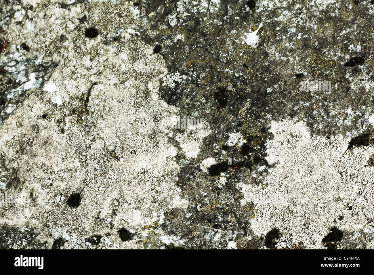 Paper sample stone texture hi-res stock photography and images - Alamy