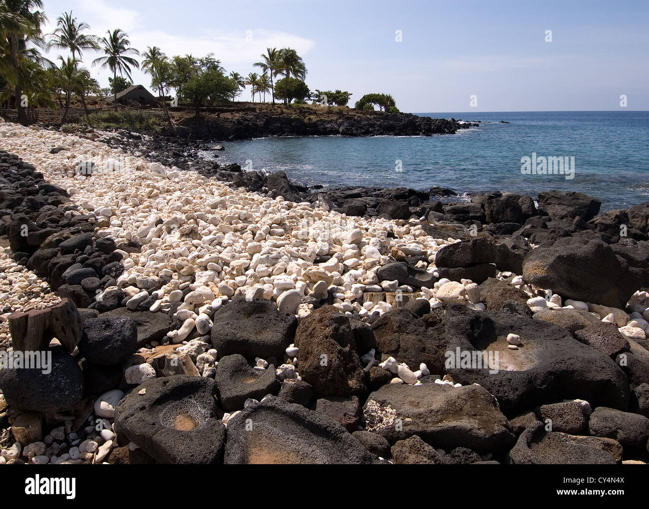 Native hawaiian beach hi-res stock photography and images - Alamy