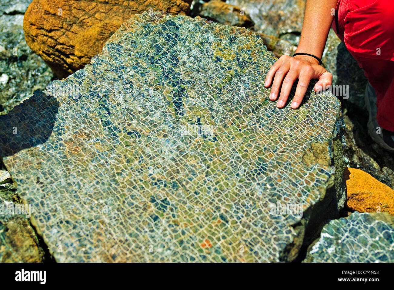 Canada, Newfoundland, Northern Peninsula, Gros Morne National Park ...