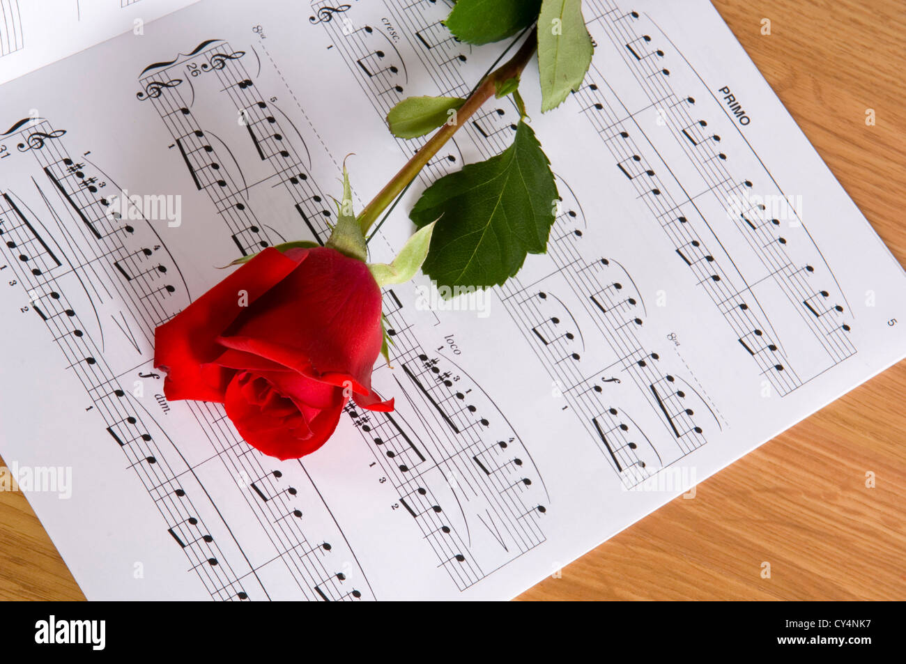 Sheet music with rose Stock Photo - Alamy