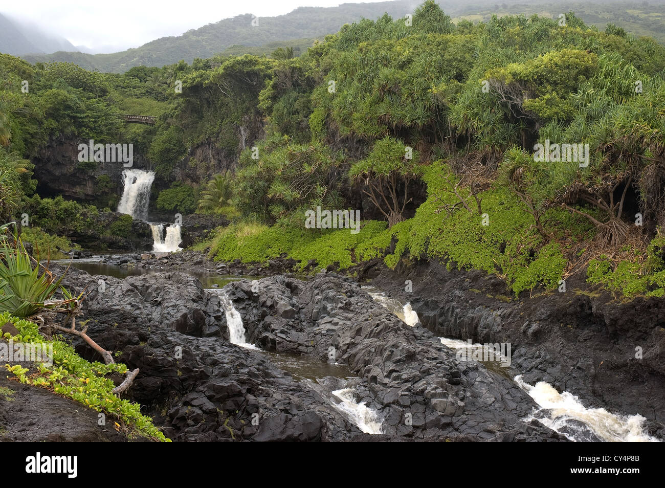 Ohea gulch hi-res stock photography and images - Alamy