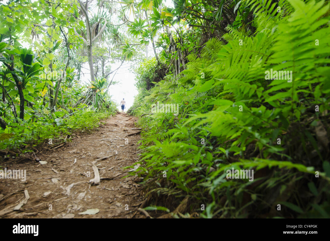 Kalalau Hiking Track High Resolution Stock Photography and Images - Alamy