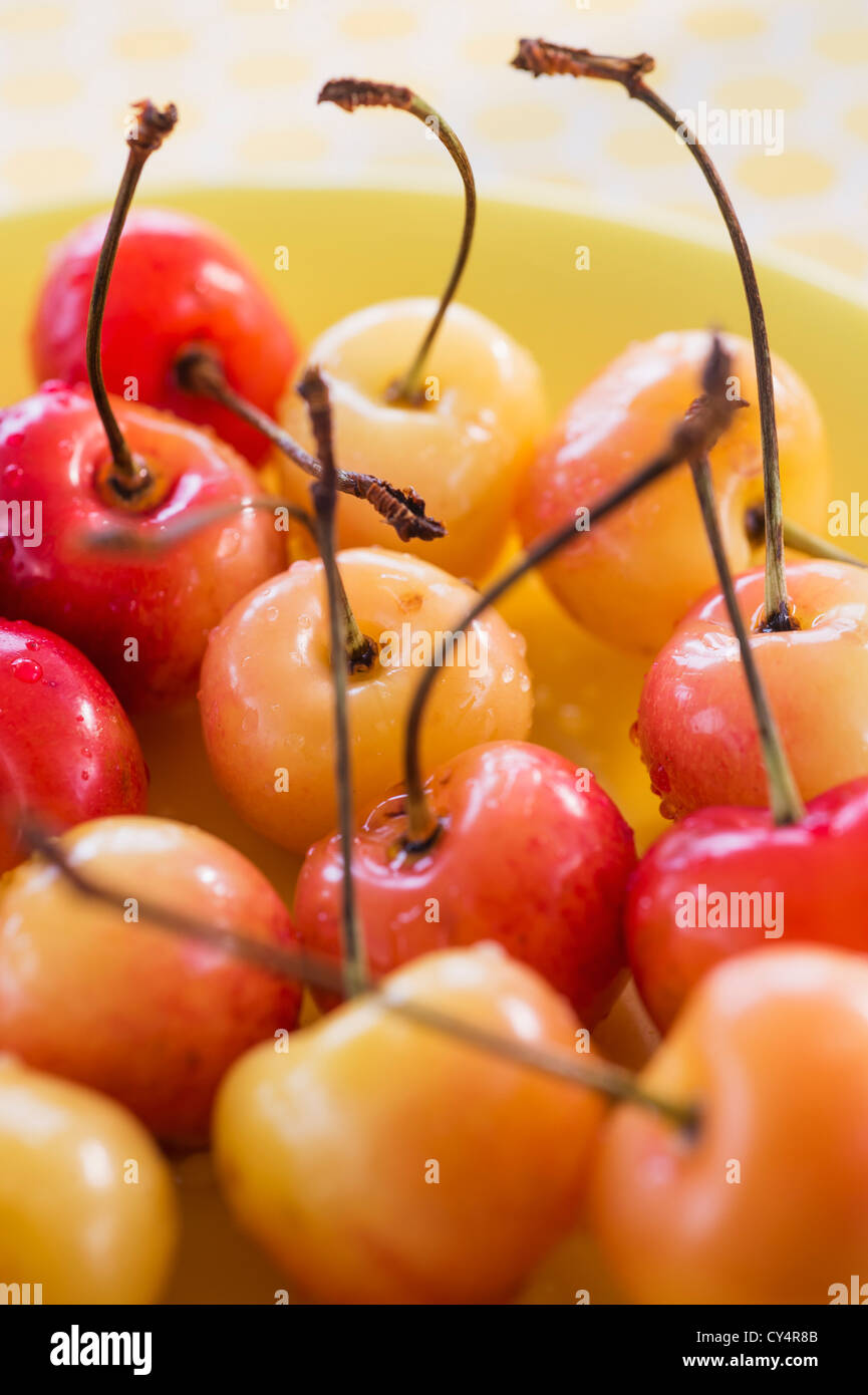 Cherries on plate Stock Photo - Alamy