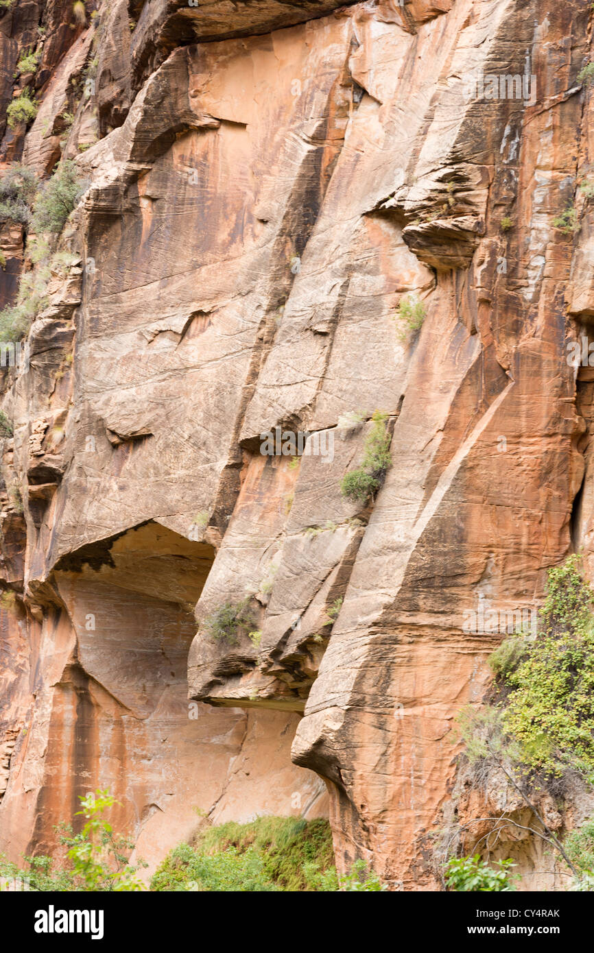 Rock structure along canyon at Zion National Park Stock Photo - Alamy