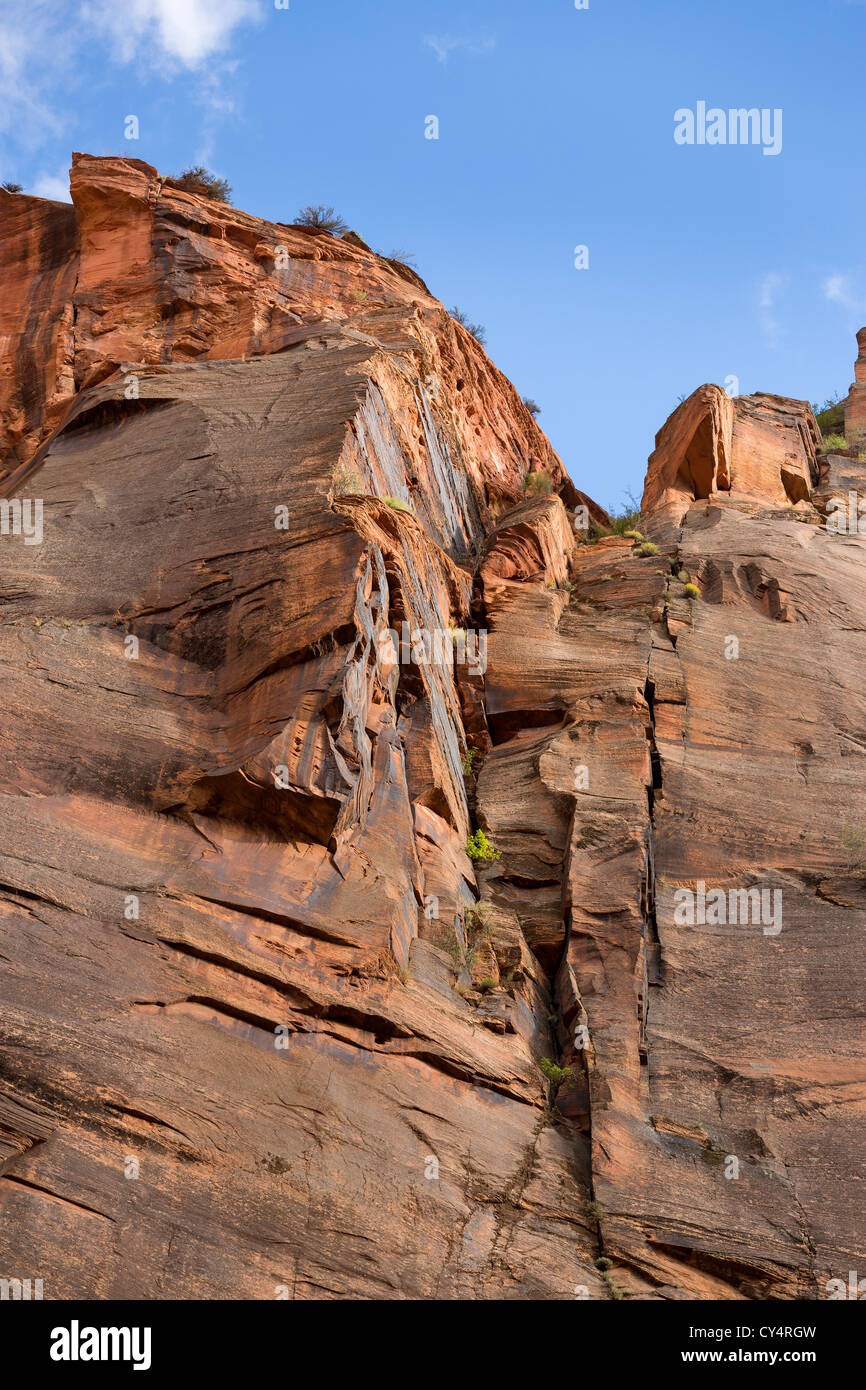 Rock structure along canyon at Zion National Park Stock Photo - Alamy