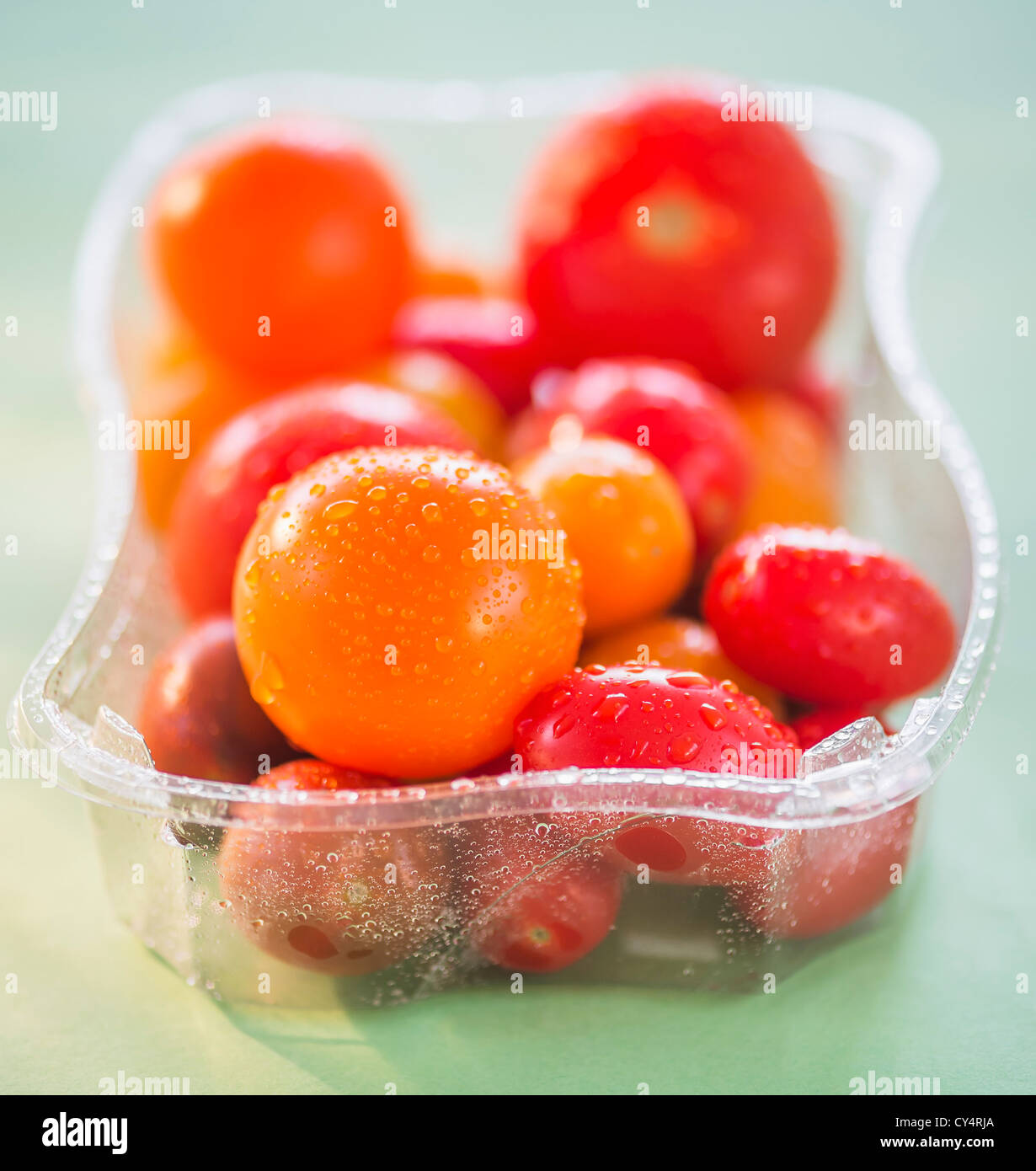 Studio Shot in plastic box Stock Photo - Alamy