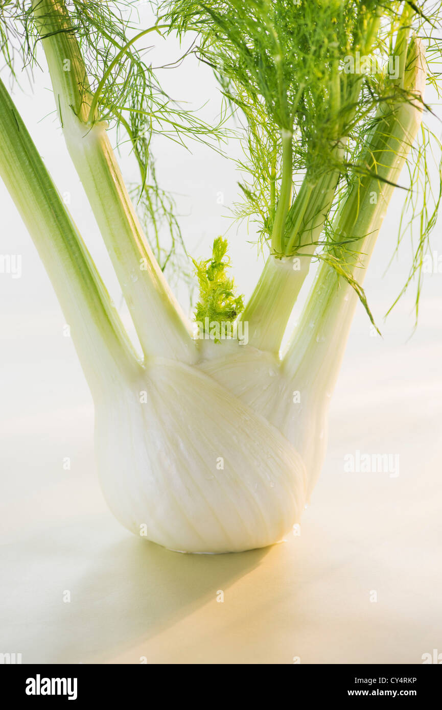 Fennel raw hi-res stock photography and images - Alamy