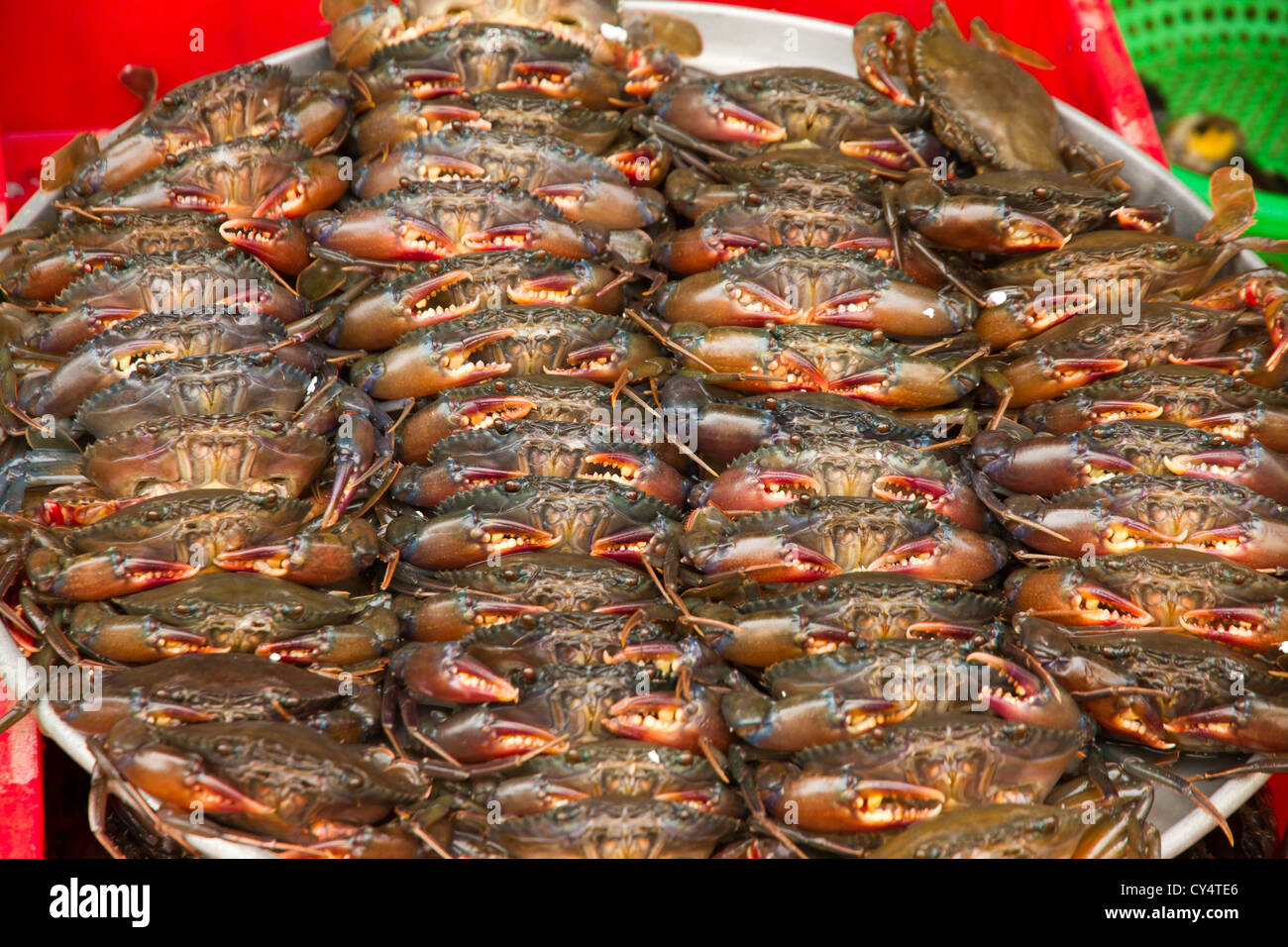 Crabs displayed for sale in Ben Thanh Market in Ho Chi Minh City ...