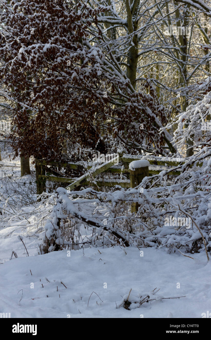 Snow bound hi-res stock photography and images - Alamy