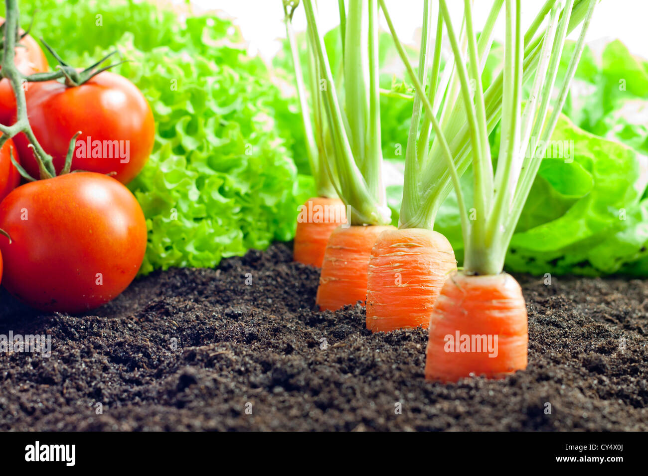 Mixed the soil mix hi-res stock photography and images - Alamy