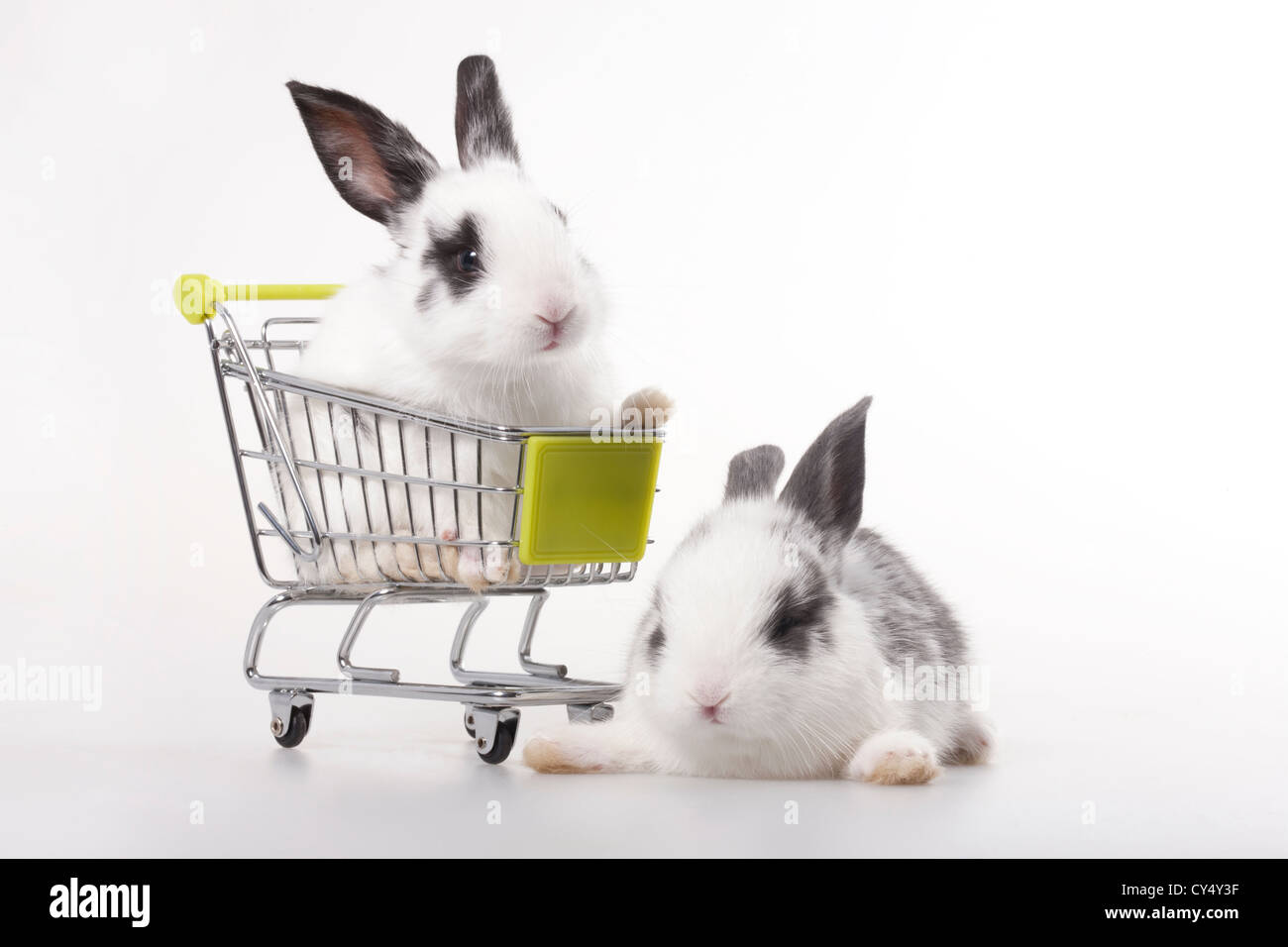 Shopping cart studio hi-res stock photography and images - Alamy
