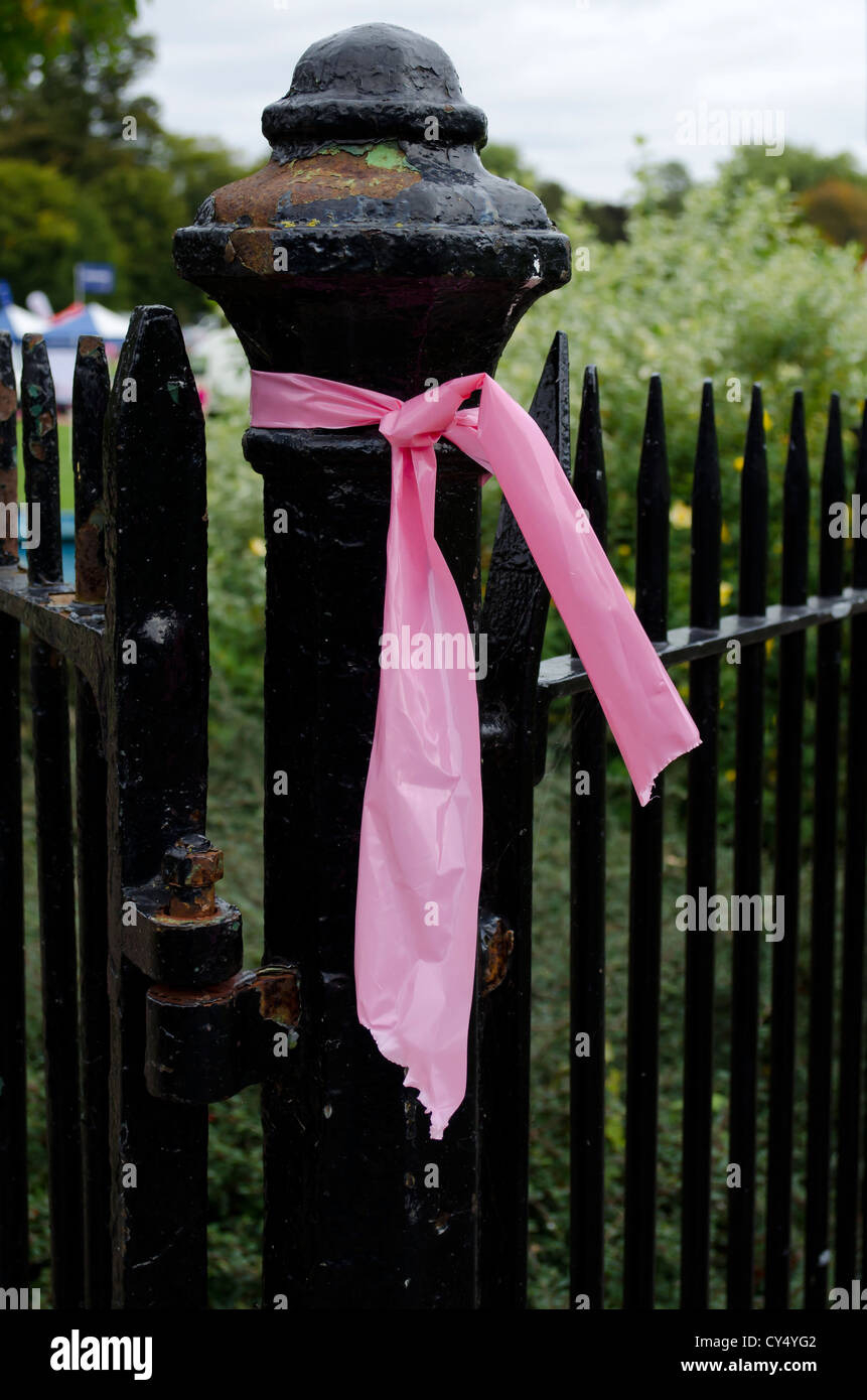 Long black metal bar fence hi-res stock photography and images - Alamy