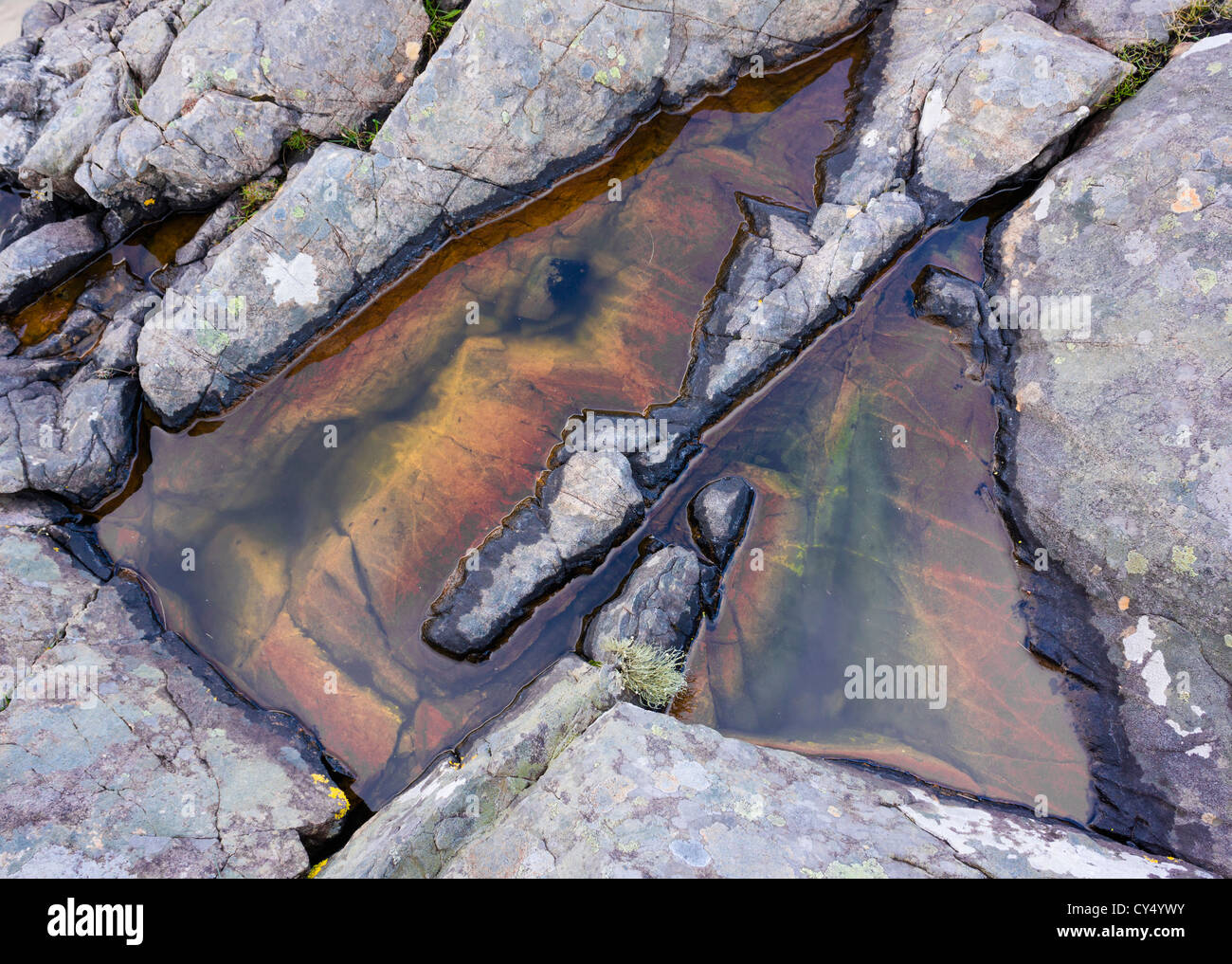 Rock pool and algae hi-res stock photography and images - Alamy