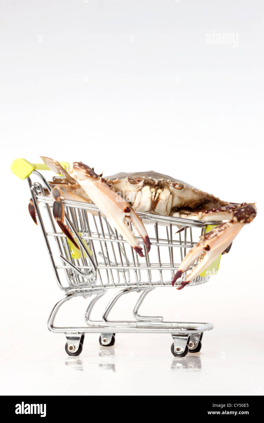Crab and shopping cart, studio shot Stock Photo - Alamy