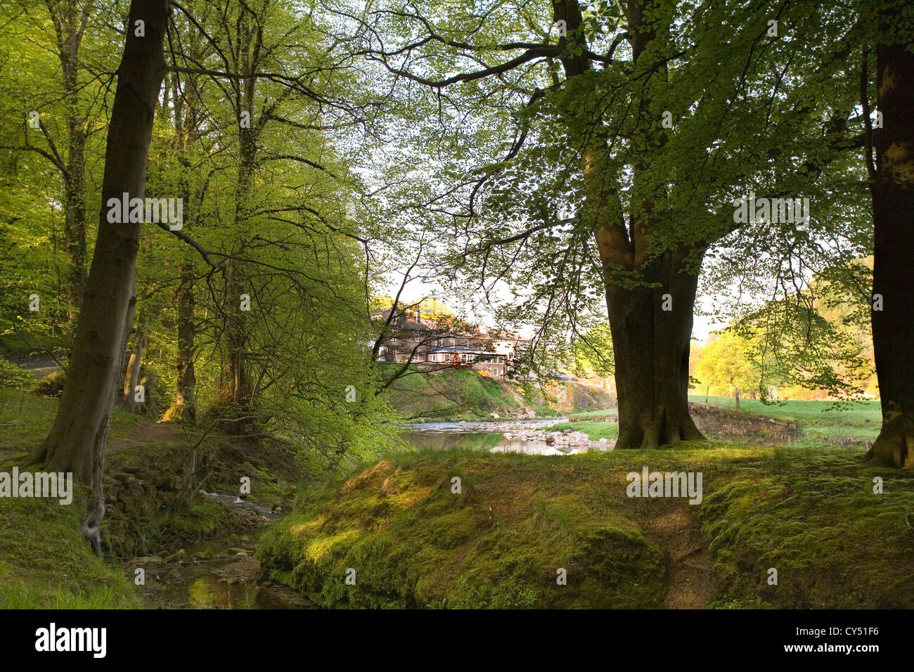Whitewell and river hodder hi-res stock photography and images - Alamy
