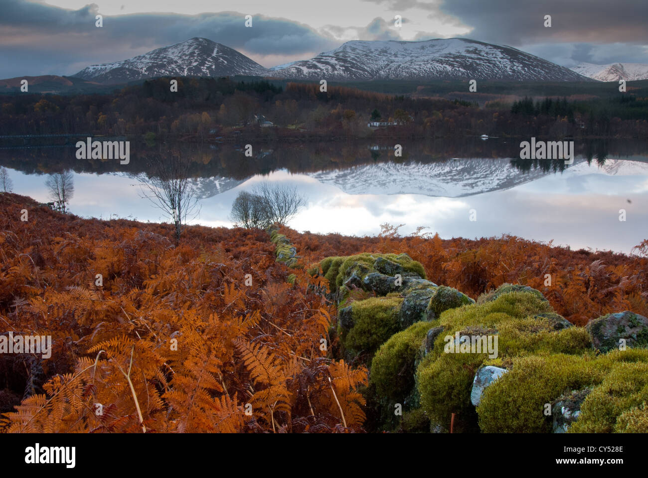 Loch Garry, west coast of Scotland Stock Photo - Alamy