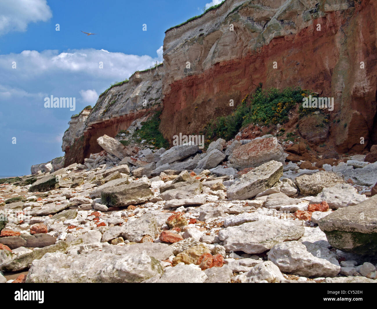 Red and white chalk cliffs at HUnstanton Norfolk East Anglia Stock ...