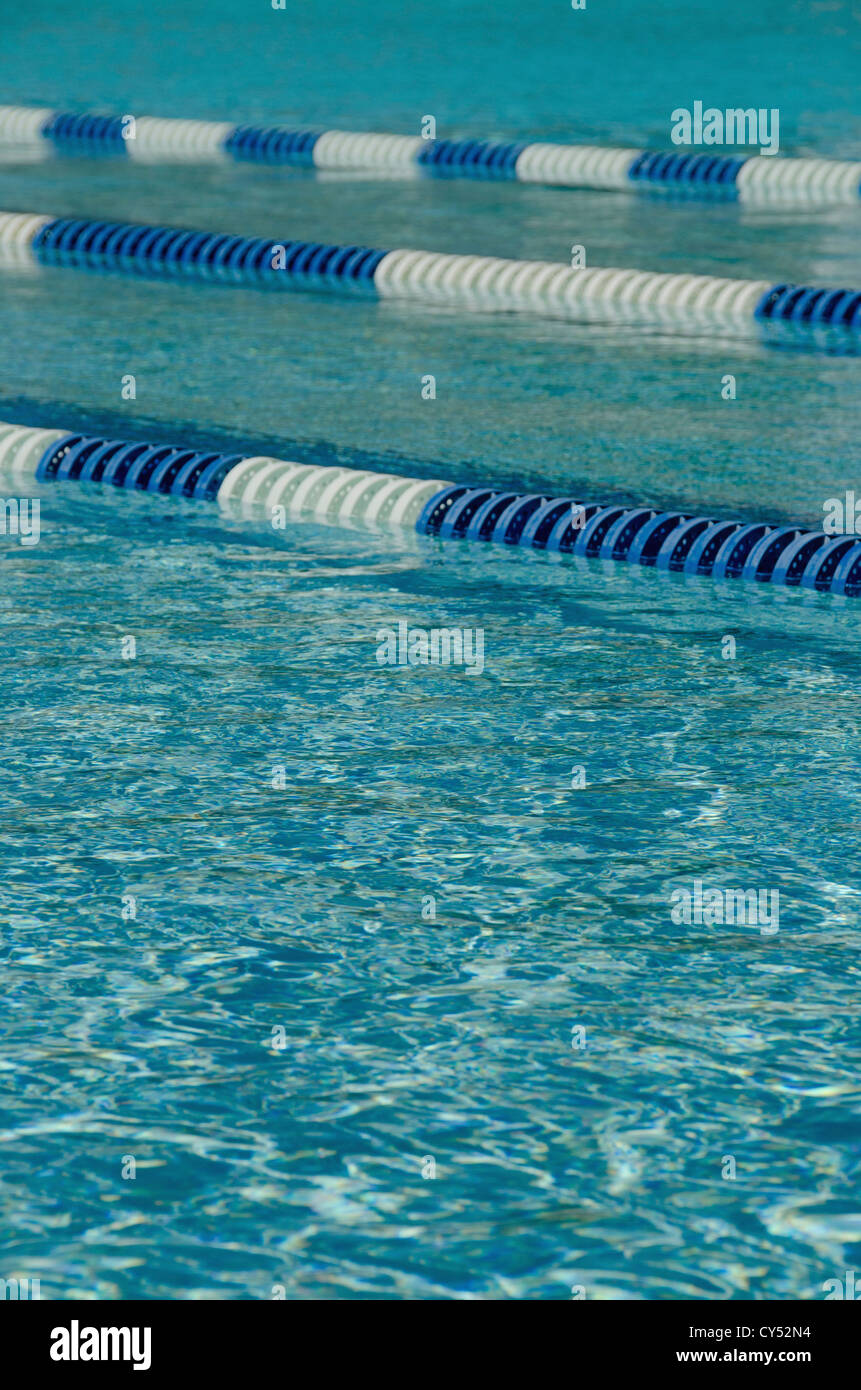USA, North Carolina, part of swimming lane markers on swimming pool ...