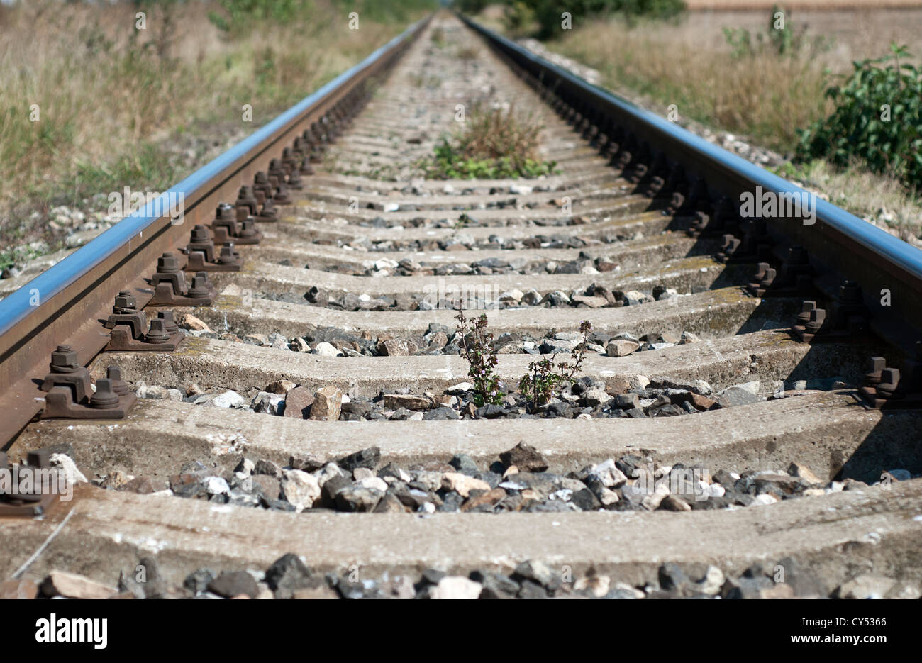 Train rails close up with some grass beside them Stock Photo - Alamy
