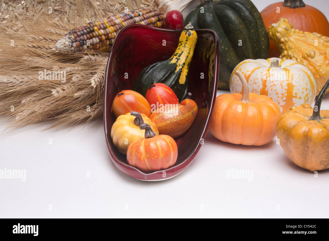 Cornucopia of mini pumpkins, gourds, and squash with wheat stalks ...