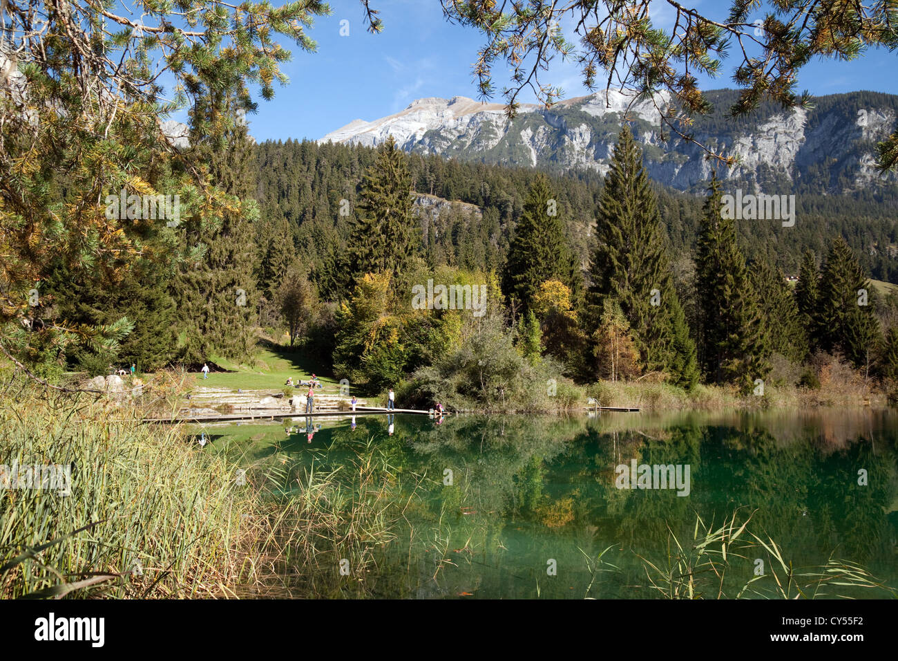 The alpine glacial meltwaters of Cresta lake ( Crestasee), Flims ...