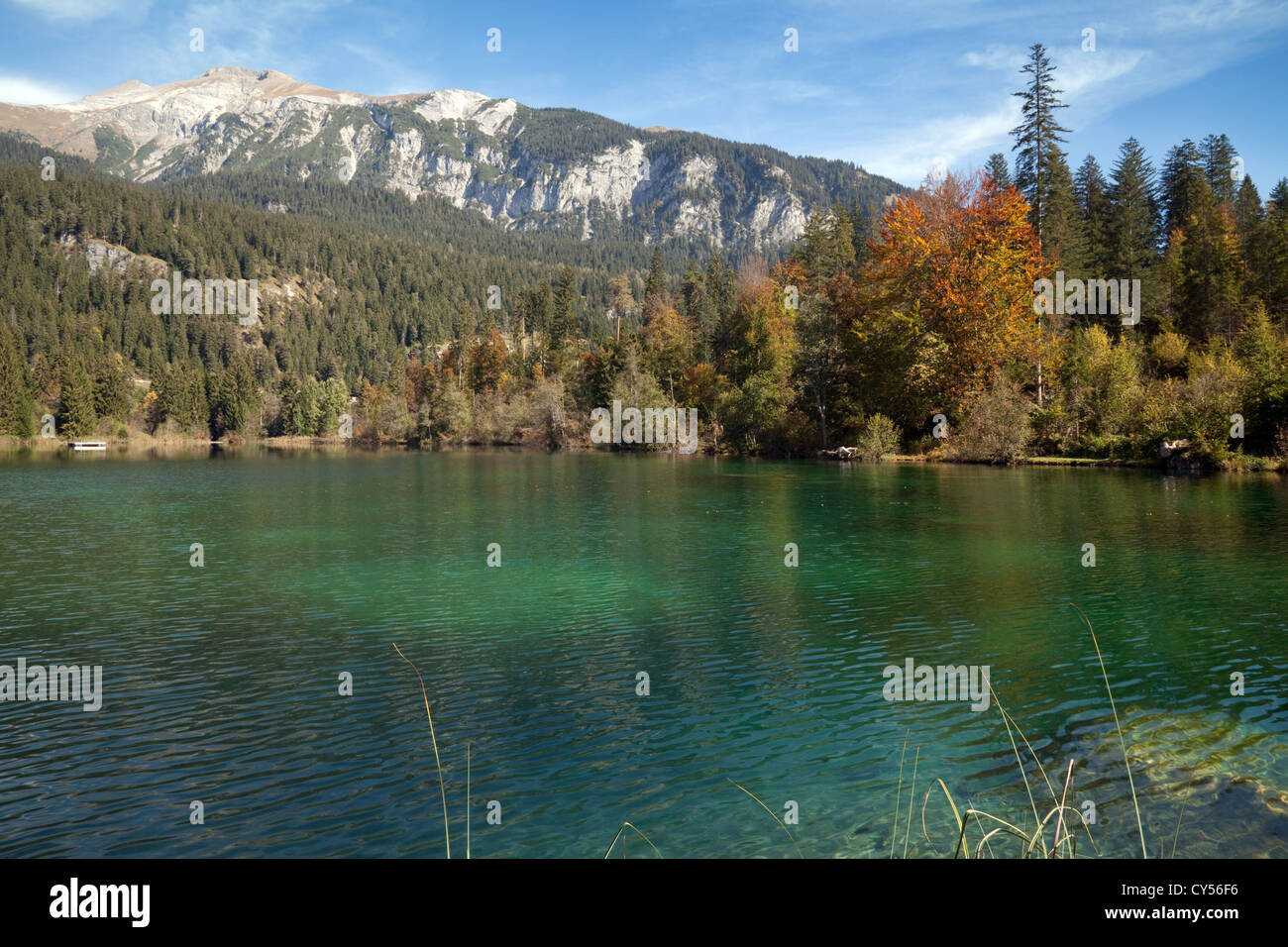 The alpine glacial meltwaters of Cresta lake ( Crestasee), Flims ...